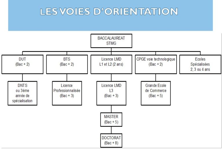 Série STMG – Lycée