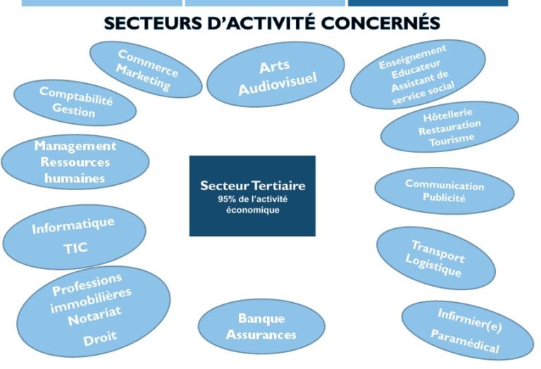 Série STMG – Lycée