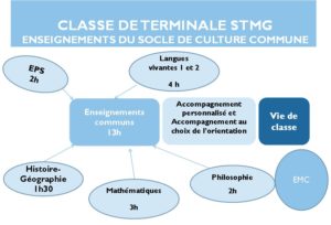 Série STMG – Lycée